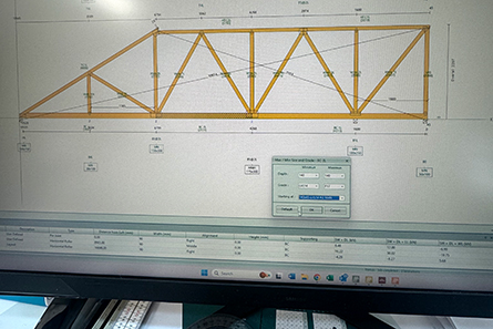 Truss Plus | About Truss Plus